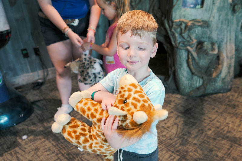 Cozy Critters Workshop | Big Cedar Lodge