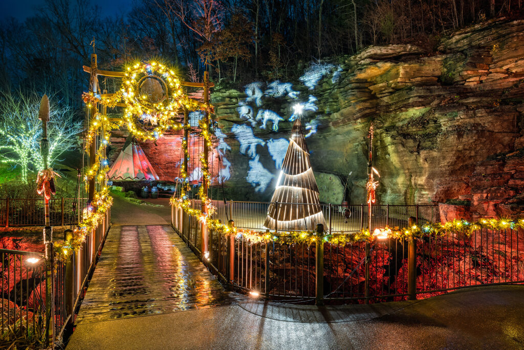 Nature At Night on The Lost Canyon Cave & Nature Trail | Big Cedar Lodge